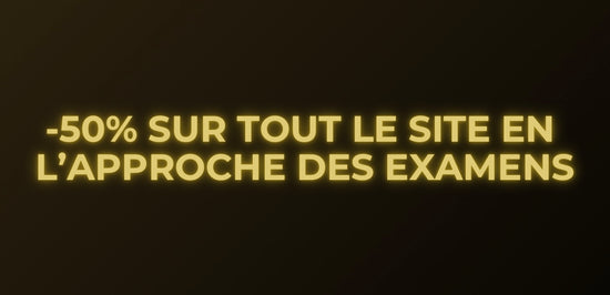 COMPTE RENDUS FICHES D'ACTIVITÉS - E41 E42 DOSSIERS ADOC ET DRCV – FICHES BTS MCO : AIDE ...