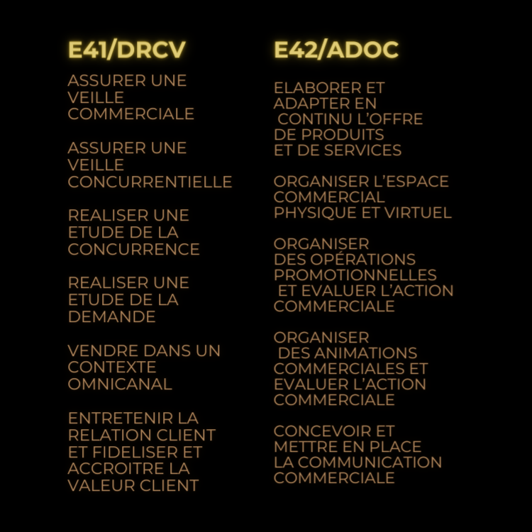 COMPTE RENDUS FICHES D'ACTIVITÉS - E41 E42 DOSSIERS ADOC ET DRCV – FICHES BTS MCO : AIDE ...